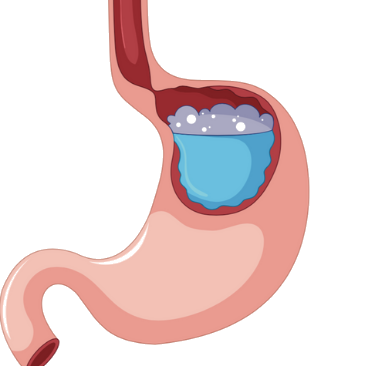 Frutin Gastro Gel™ Natural Heartburn Relief Supplement | Frutin Gastro ...