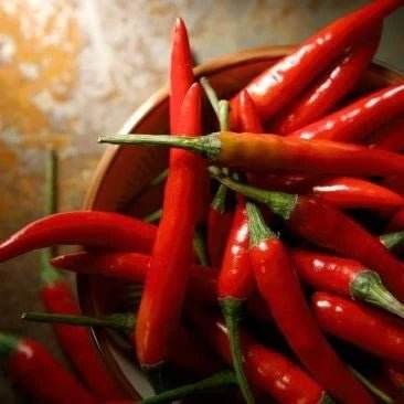 Chili Burn Max™ Proven Weight Loss Supplement for Fat Burning | Weight ...